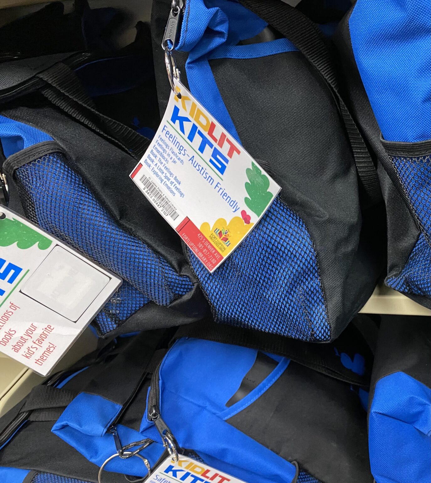 Building Readers – Colorado Libraries for Early Literacy