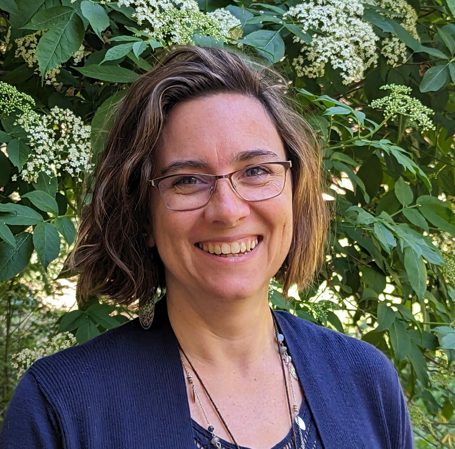 Steering Committee – Colorado Libraries for Early Literacy